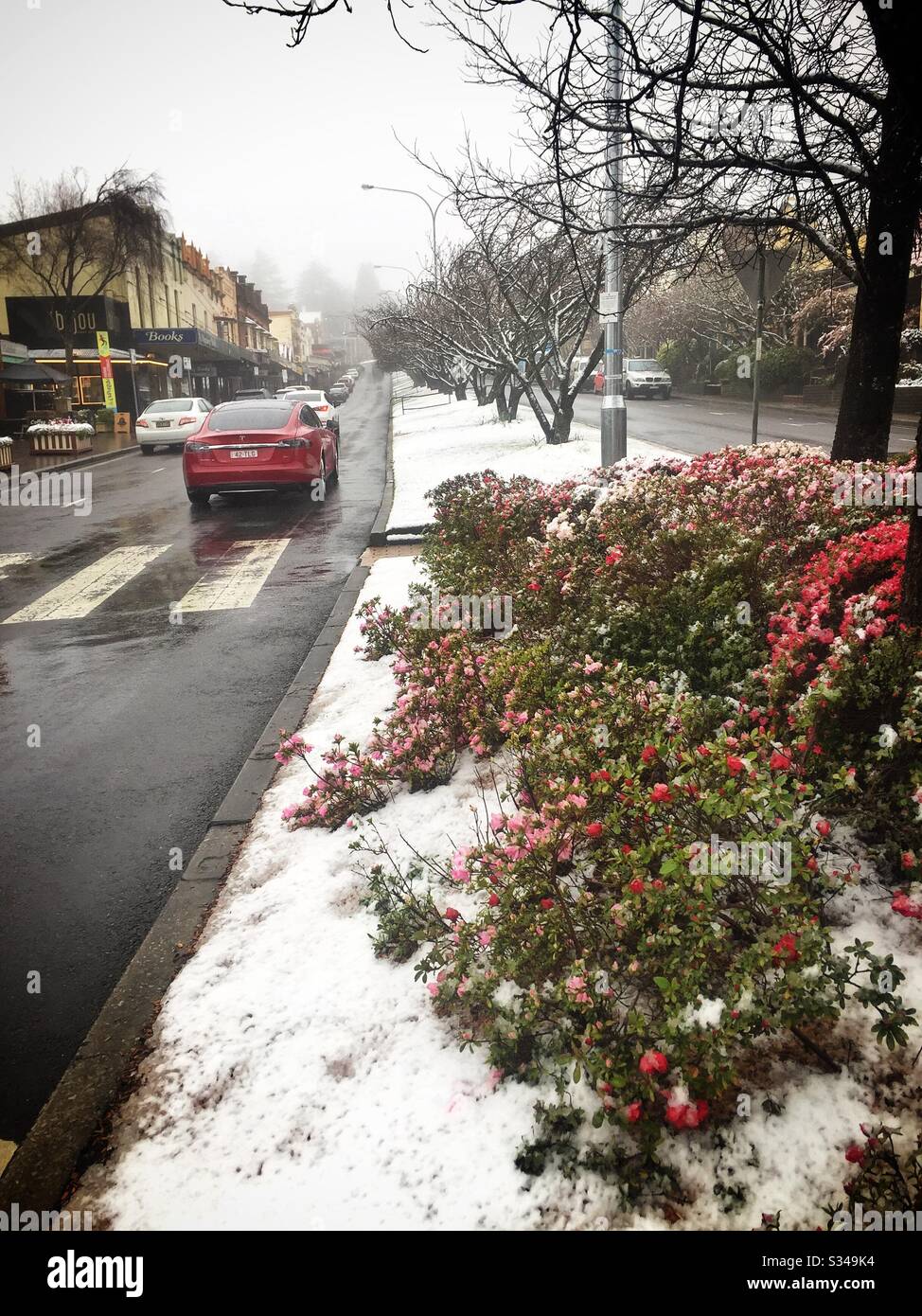 The village of Leura under an unseasonal spring snowfall, Blue ...