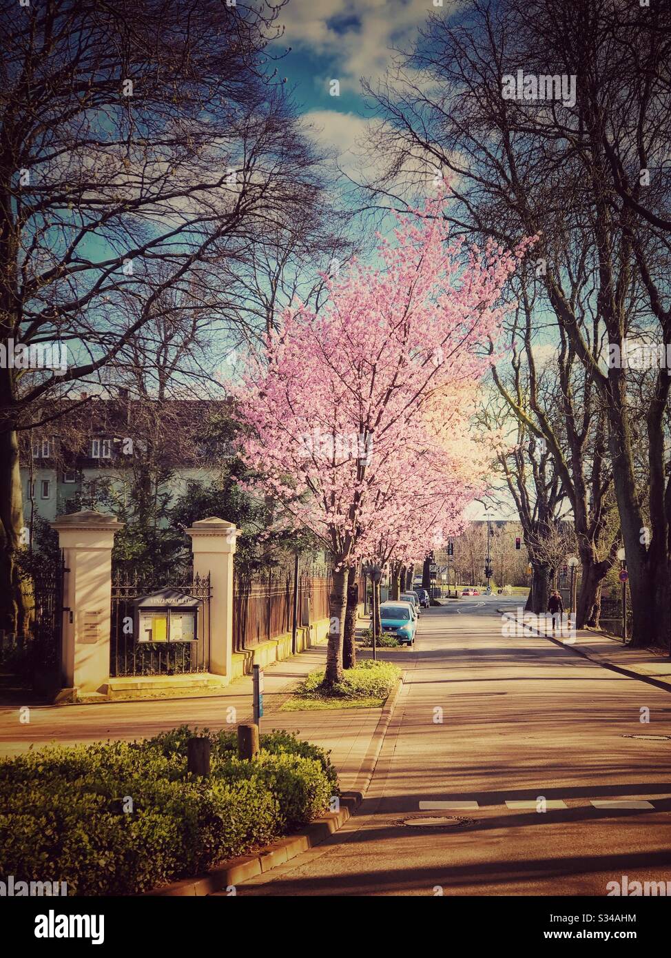 Spring in town hi-res stock photography and images - Alamy