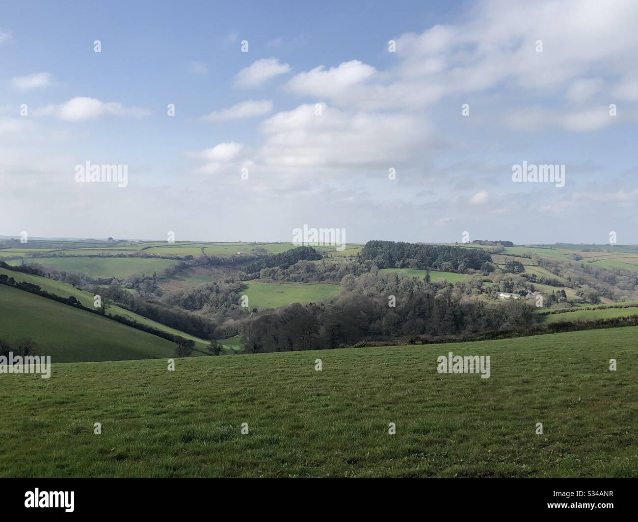 Green fields of devon hi-res stock photography and images - Alamy