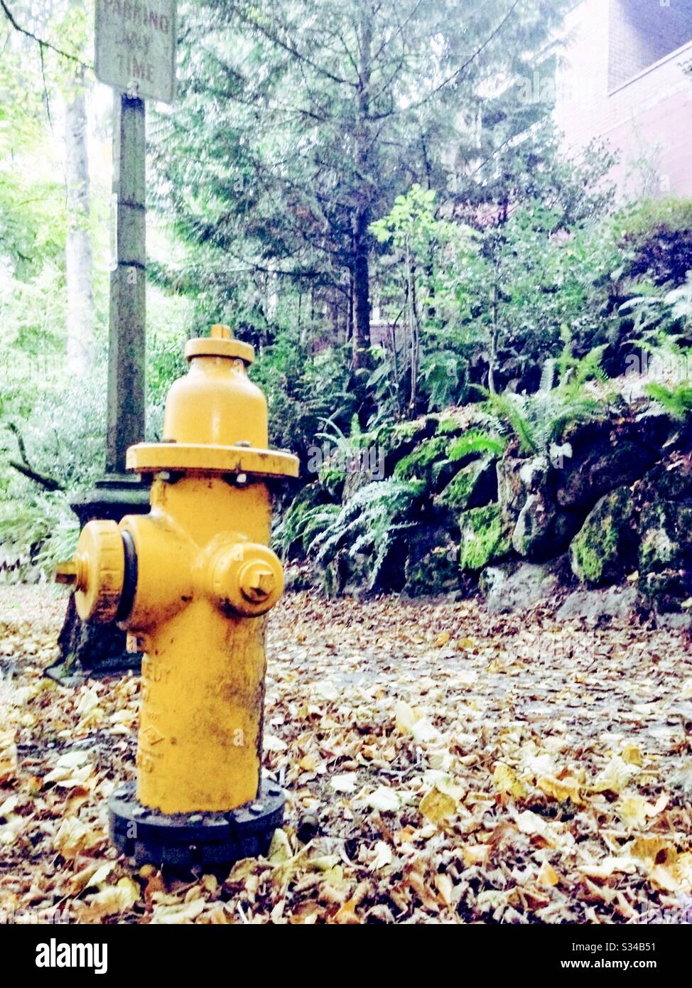 Fire plug hi-res stock photography and images - Alamy