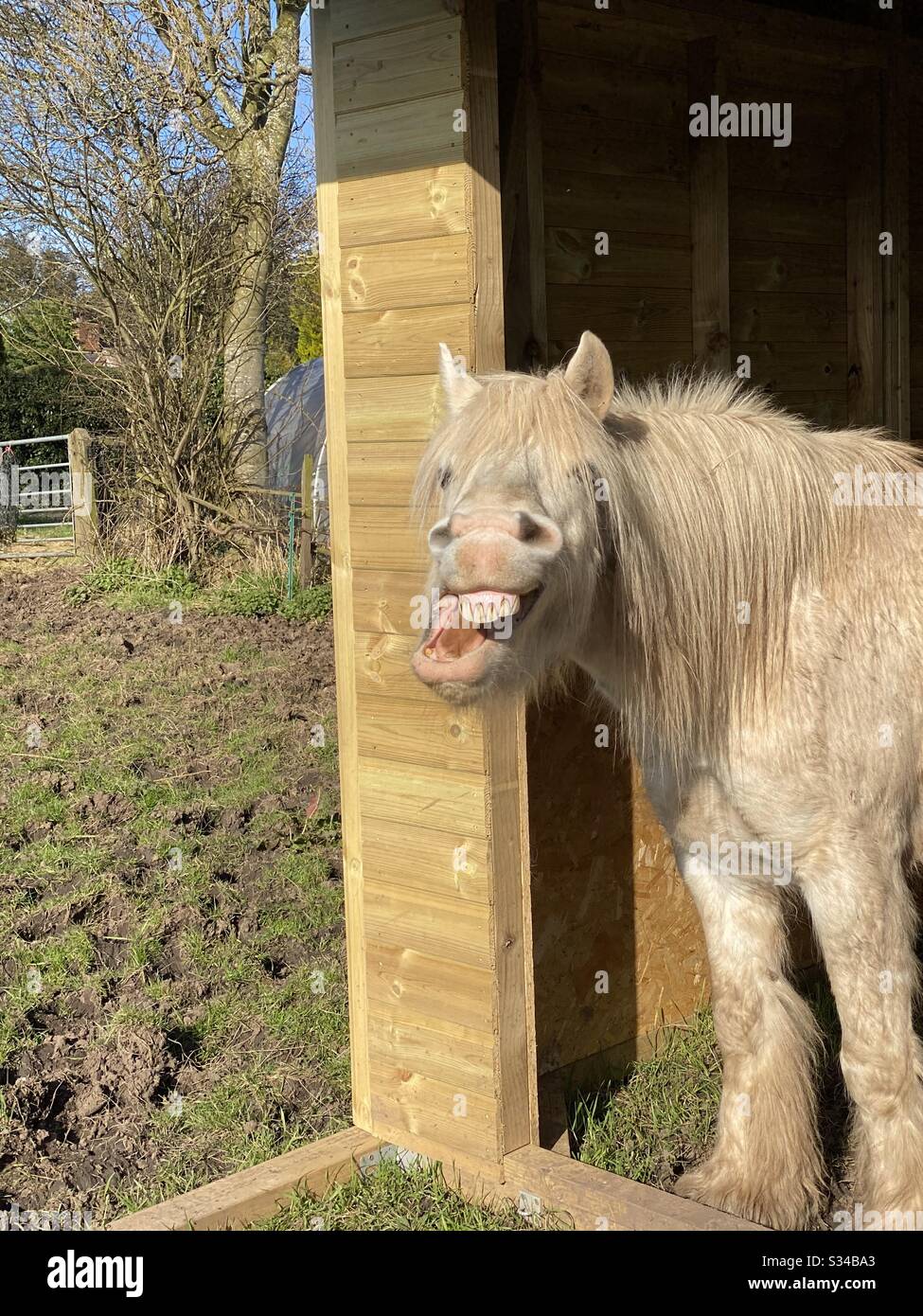 Need The Loo High Resolution Stock Photography and Images - Alamy