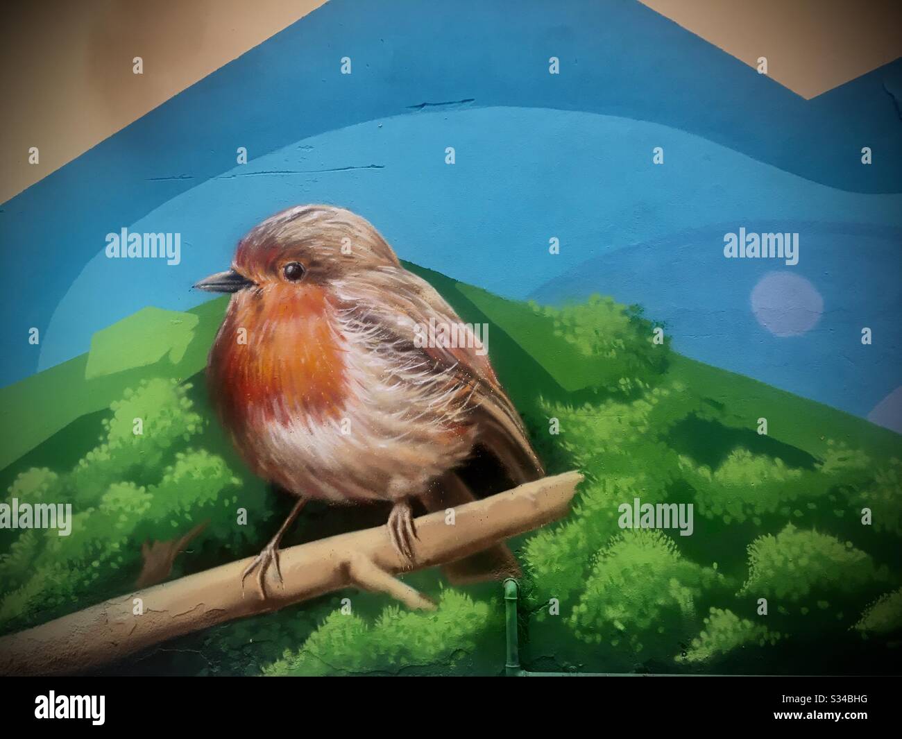 Little bird hi-res stock photography and images - Alamy