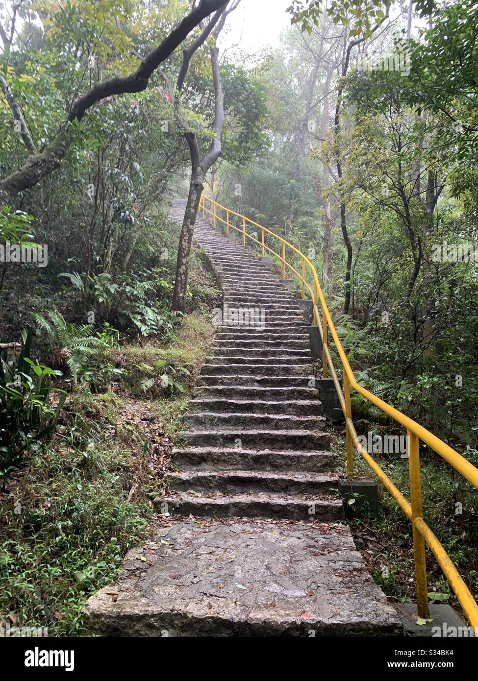 Long Stair High Resolution Stock Photography and Images - Alamy