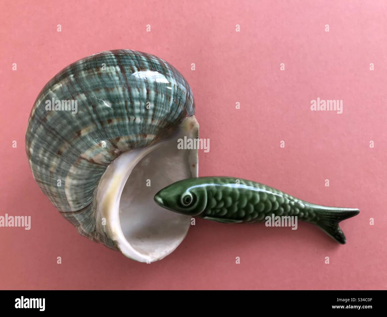 Pink teal hi-res stock photography and images - Alamy