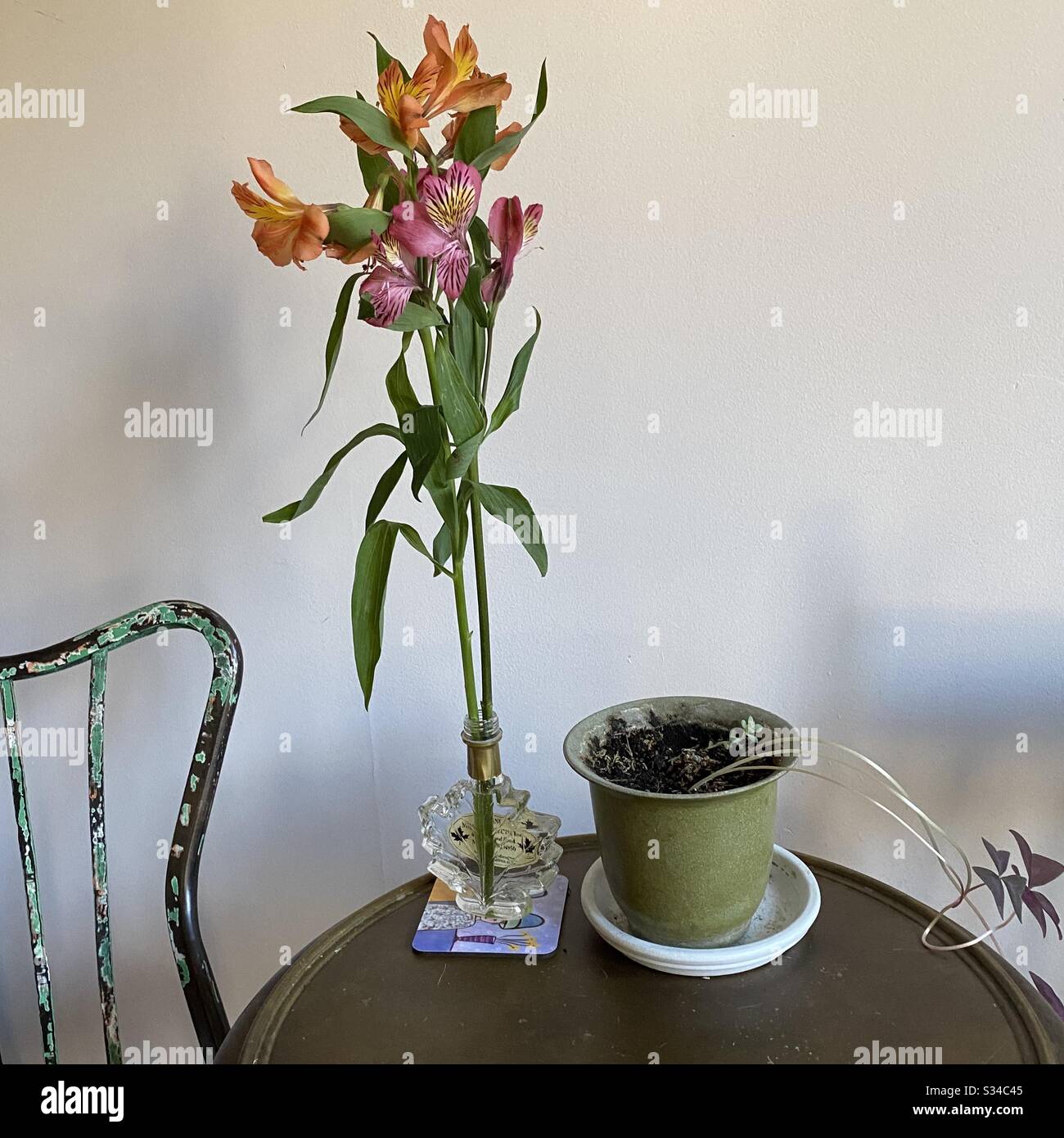 Chair flowers hi-res stock photography and images - Alamy