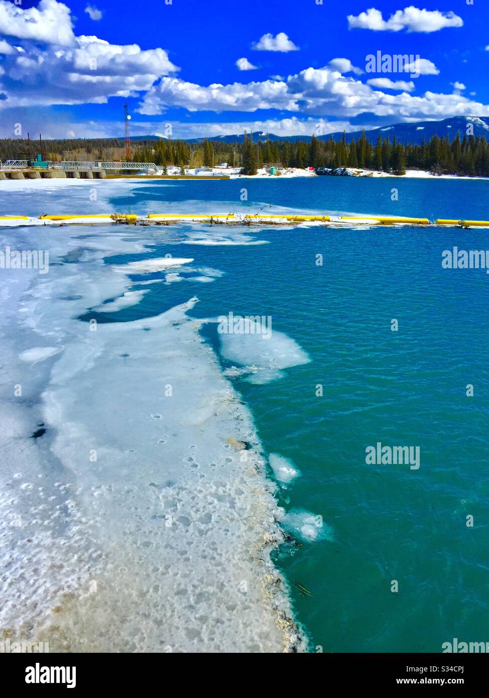Seebe Dam,Bow River, west of Calgary, Alberta, Canada, yellow booms ...