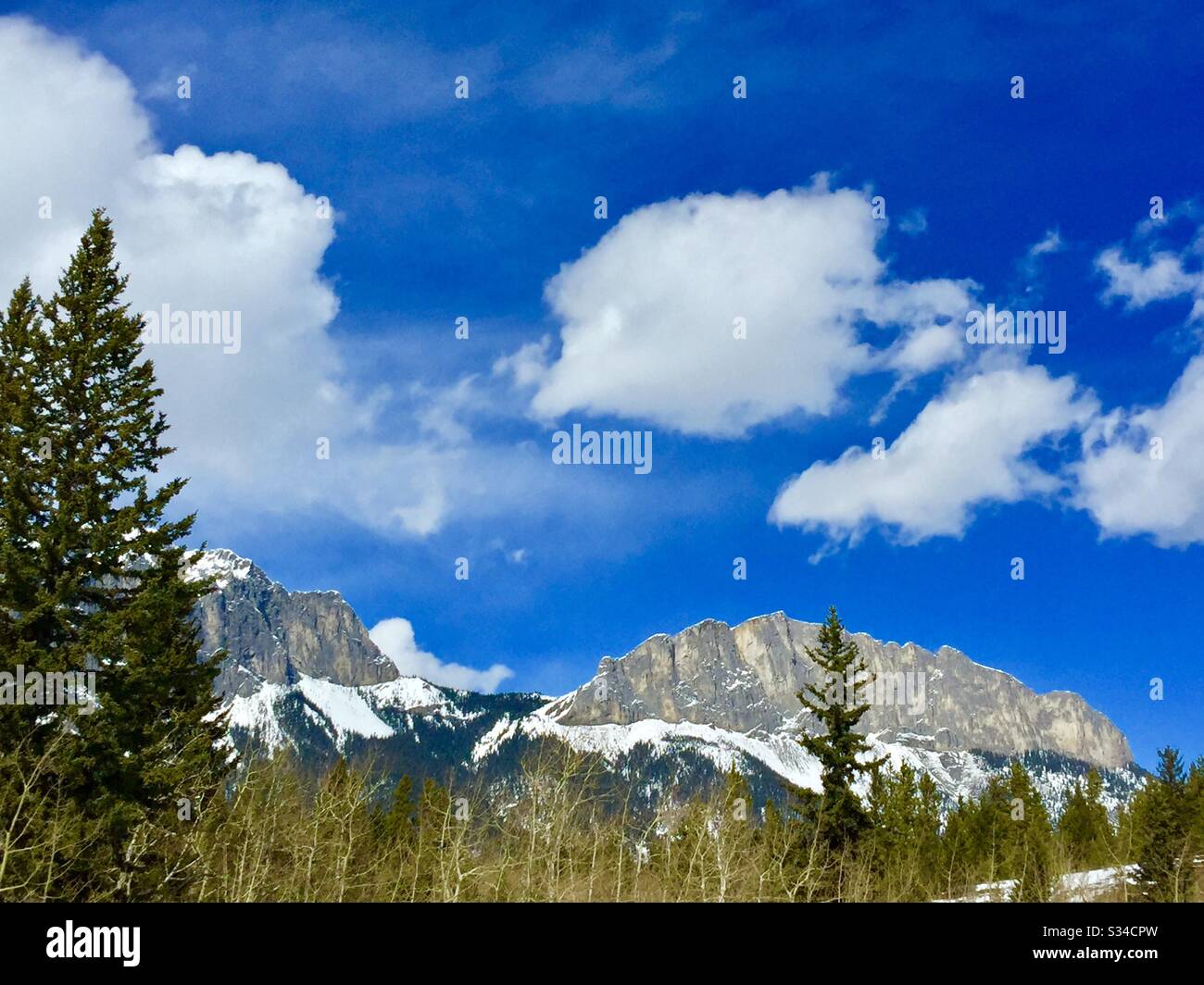 Mount Yamnuska, Alberta, Canada,Canadian Rockies Stock Photo - Alamy