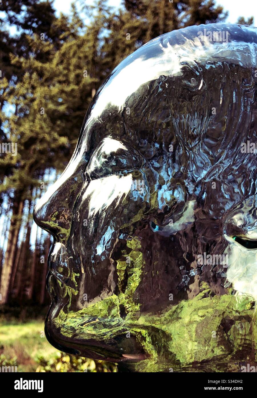 Surreal face in nature Stock Photo - Alamy