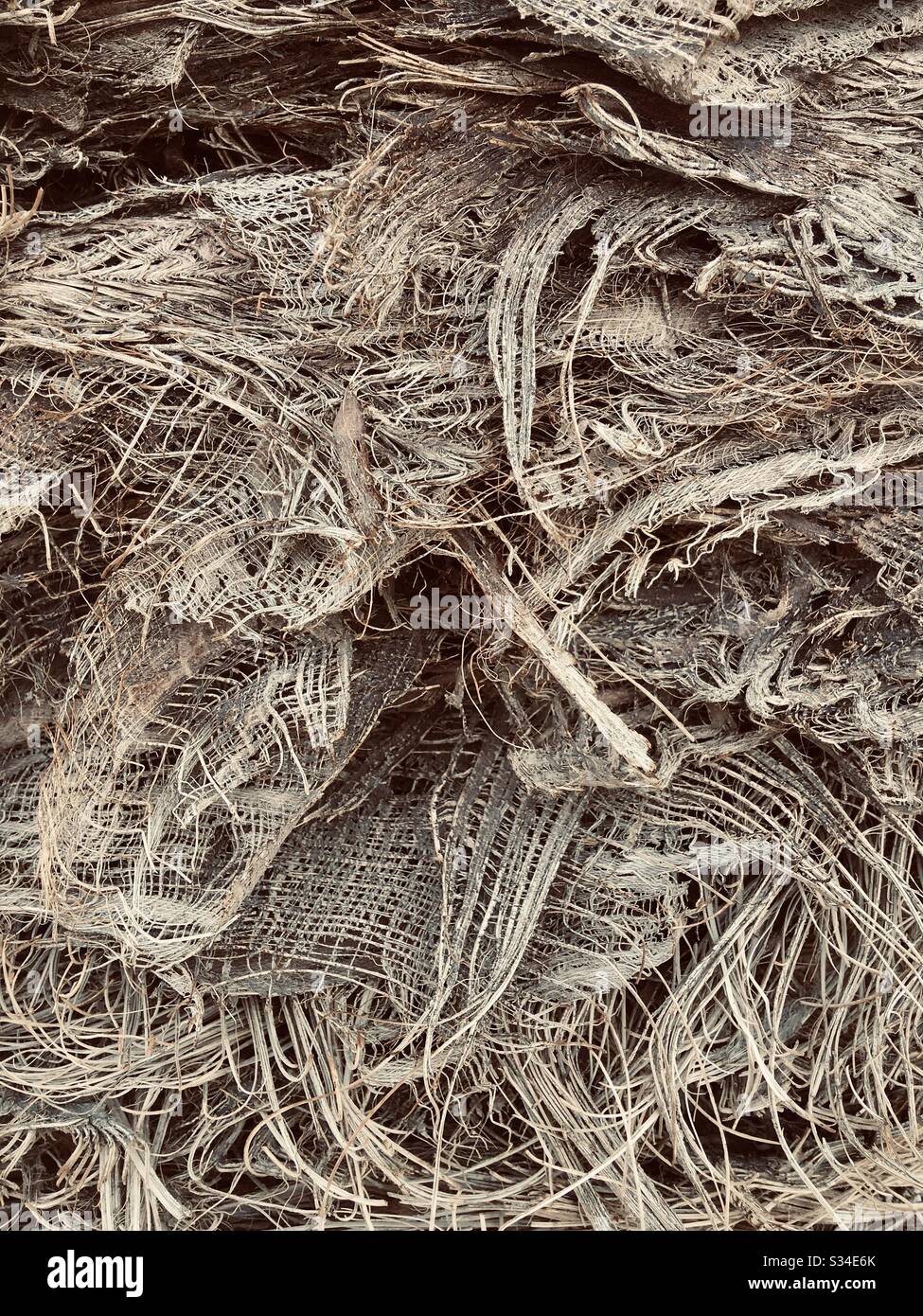 Textures of the desert hi-res stock photography and images - Alamy