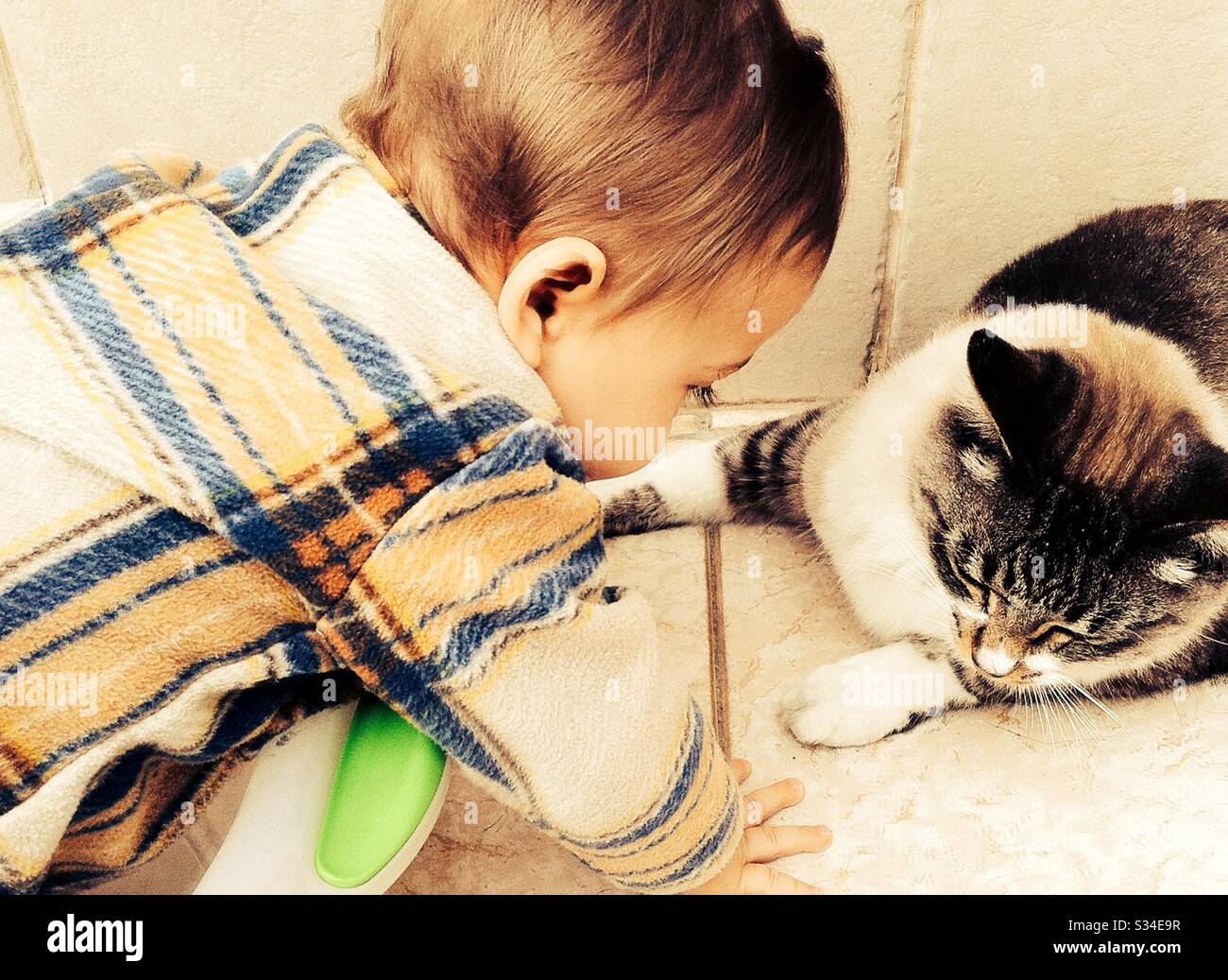 Kitty boy hi-res stock photography and images - Alamy