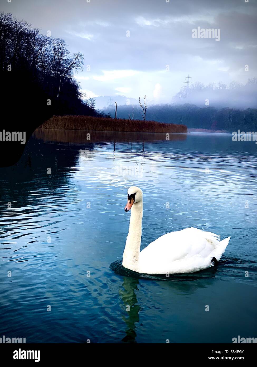 Contrast with nature hi-res stock photography and images - Alamy