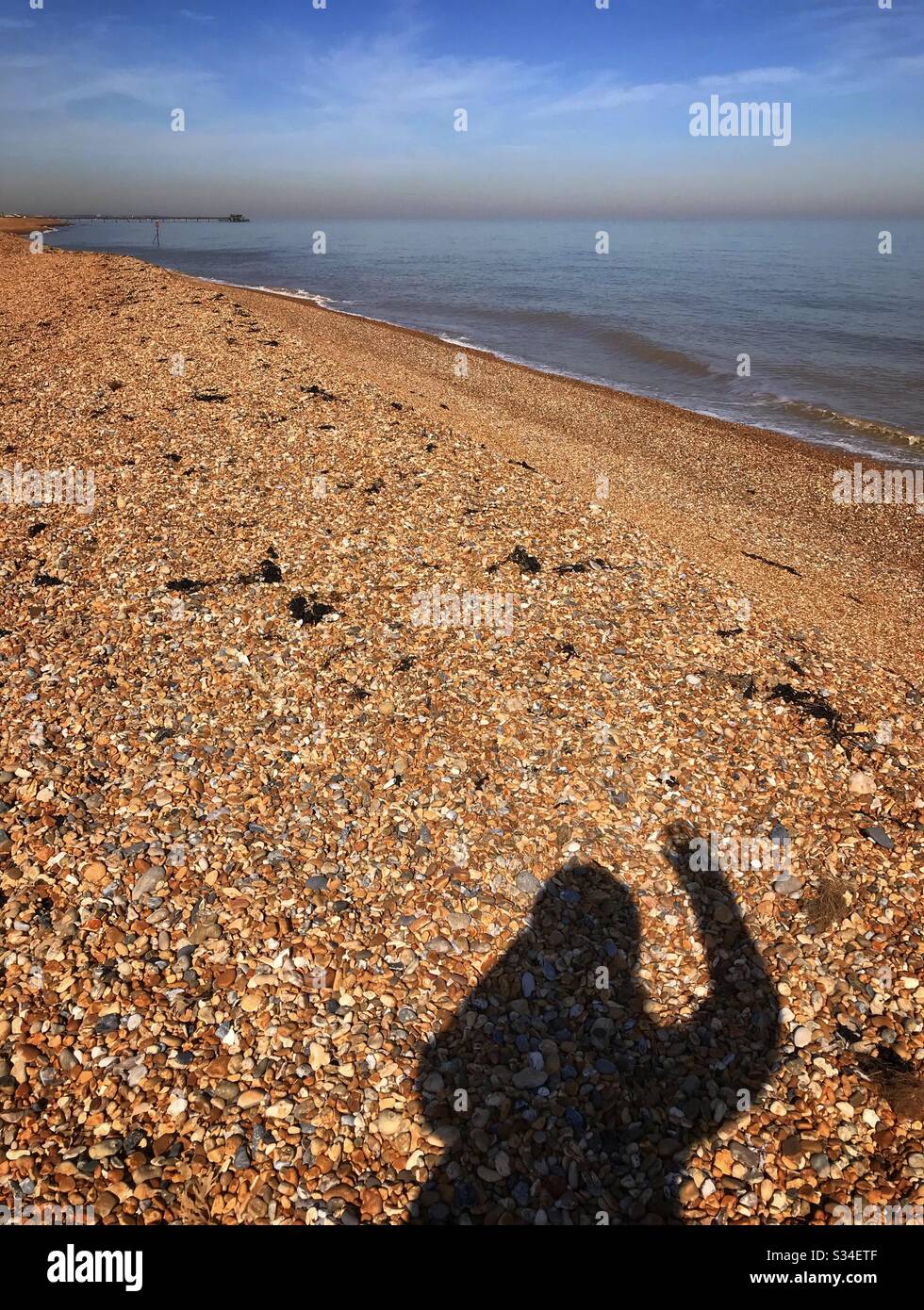 Isolating hi-res stock photography and images - Alamy