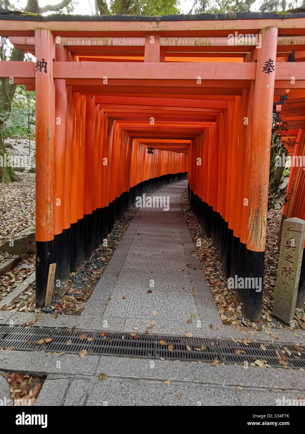 Red Tori Gate at Fushimi Inari Shrine in Kyoto, Japan Stock Photo - Alamy