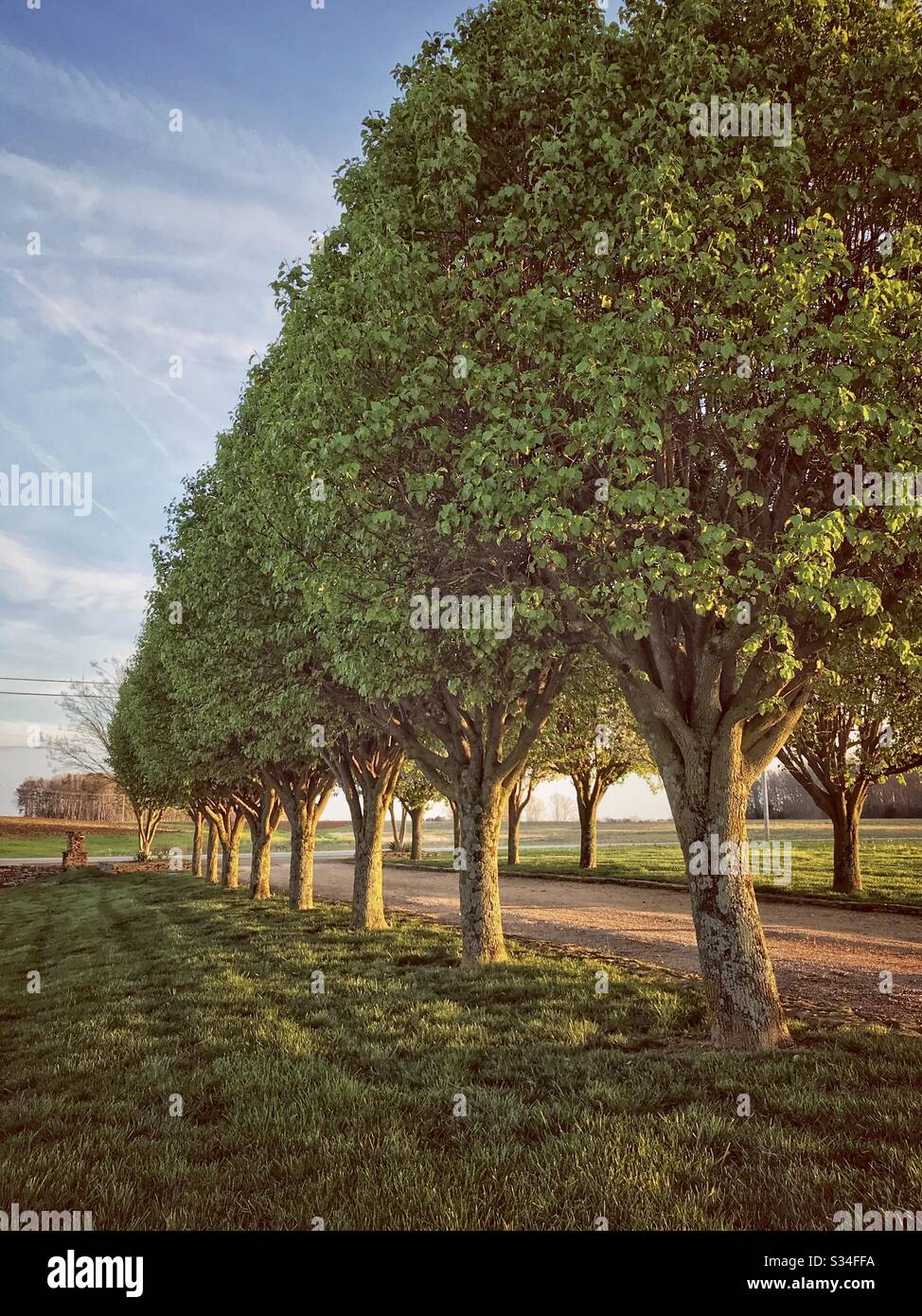 Carolina spring hi-res stock photography and images - Alamy