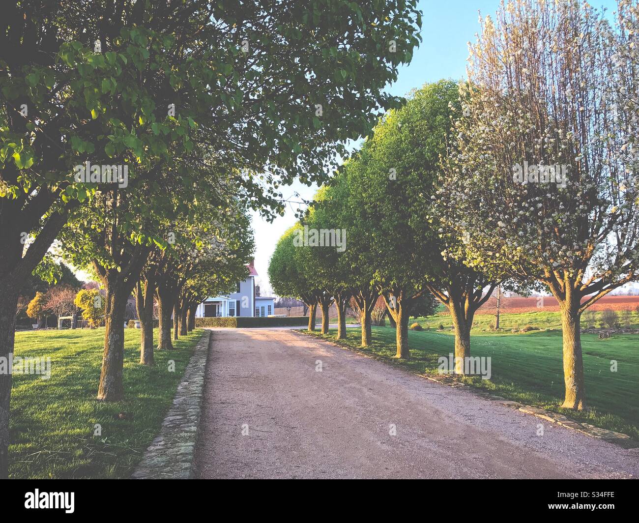 Golden lane estate hi-res stock photography and images - Alamy
