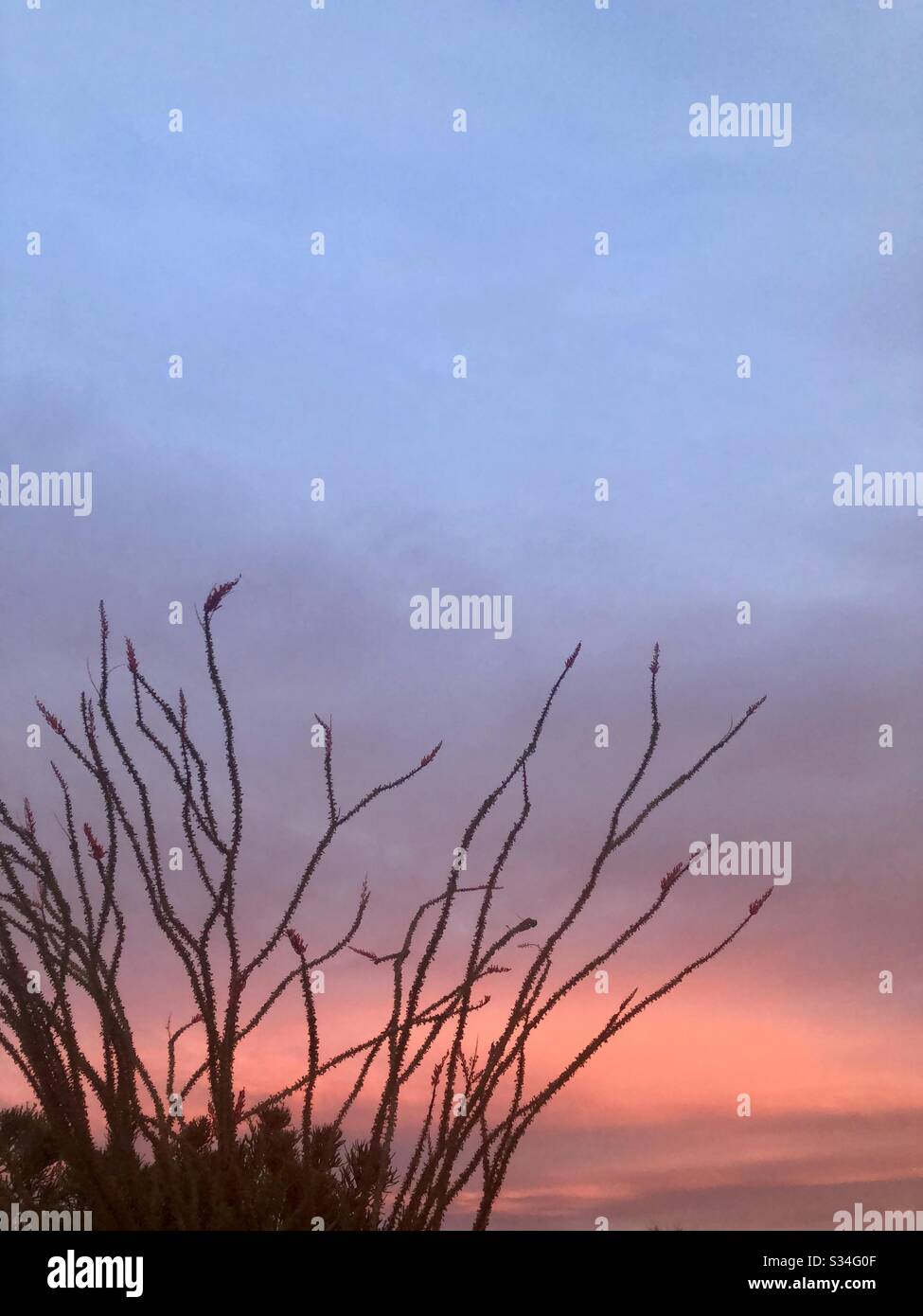 Delightful evening hi-res stock photography and images - Alamy