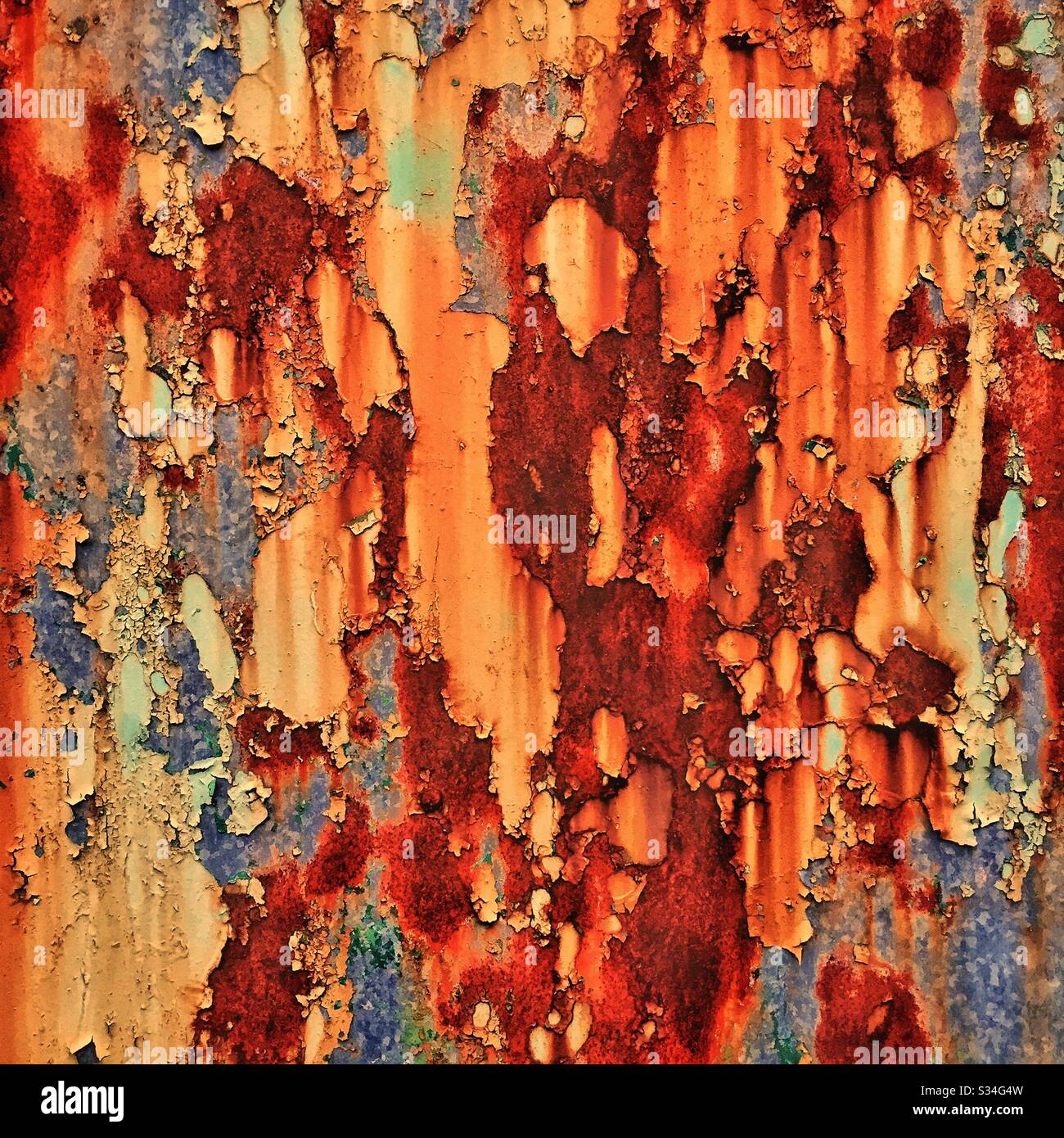 Detail of a 'pang uk' or stilt house, in Ma Wan Chung, a fishing ...