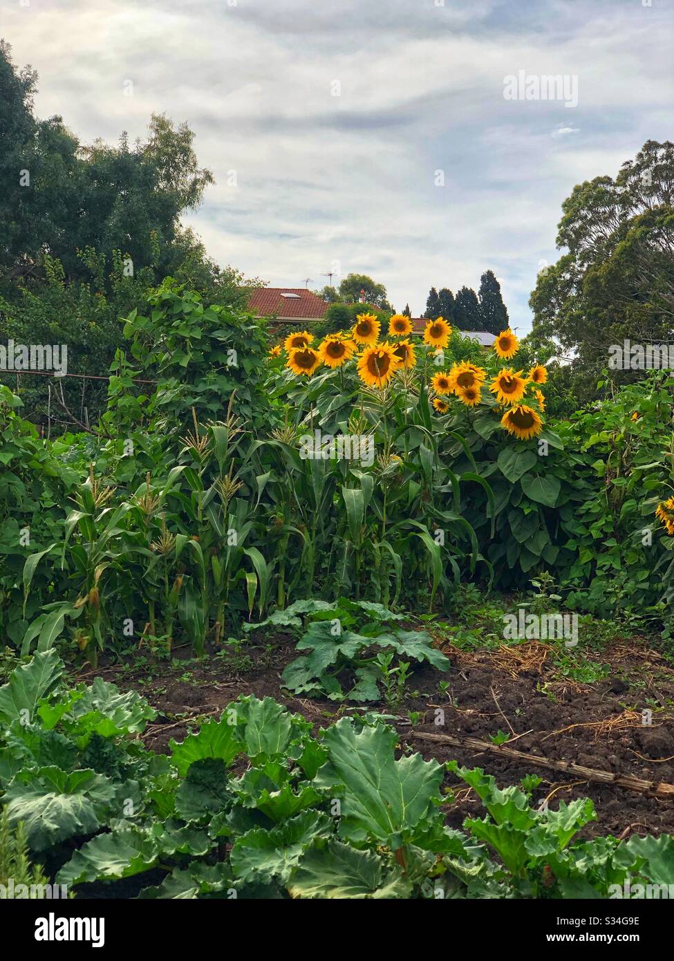 Truth to nature hi-res stock photography and images - Alamy