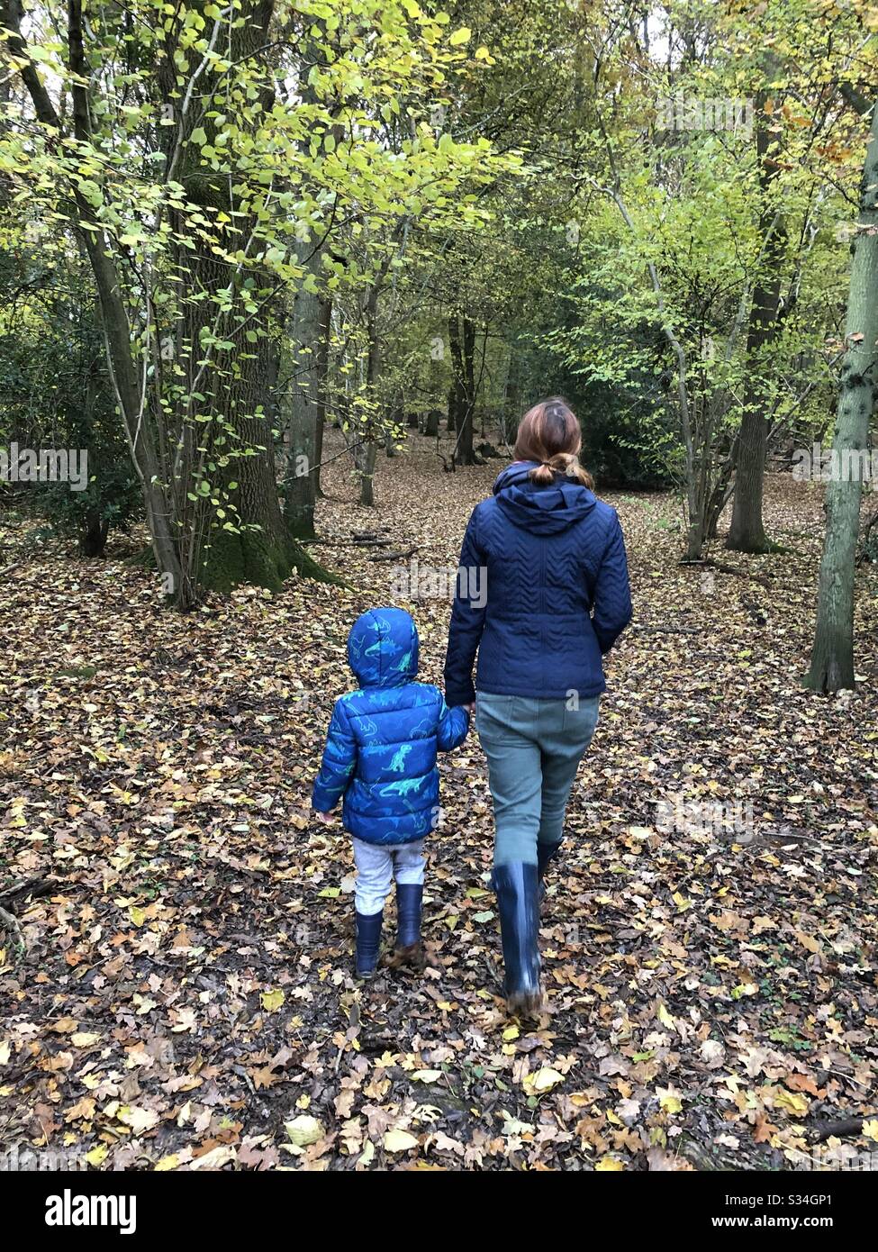 Forest walk hi-res stock photography and images - Alamy