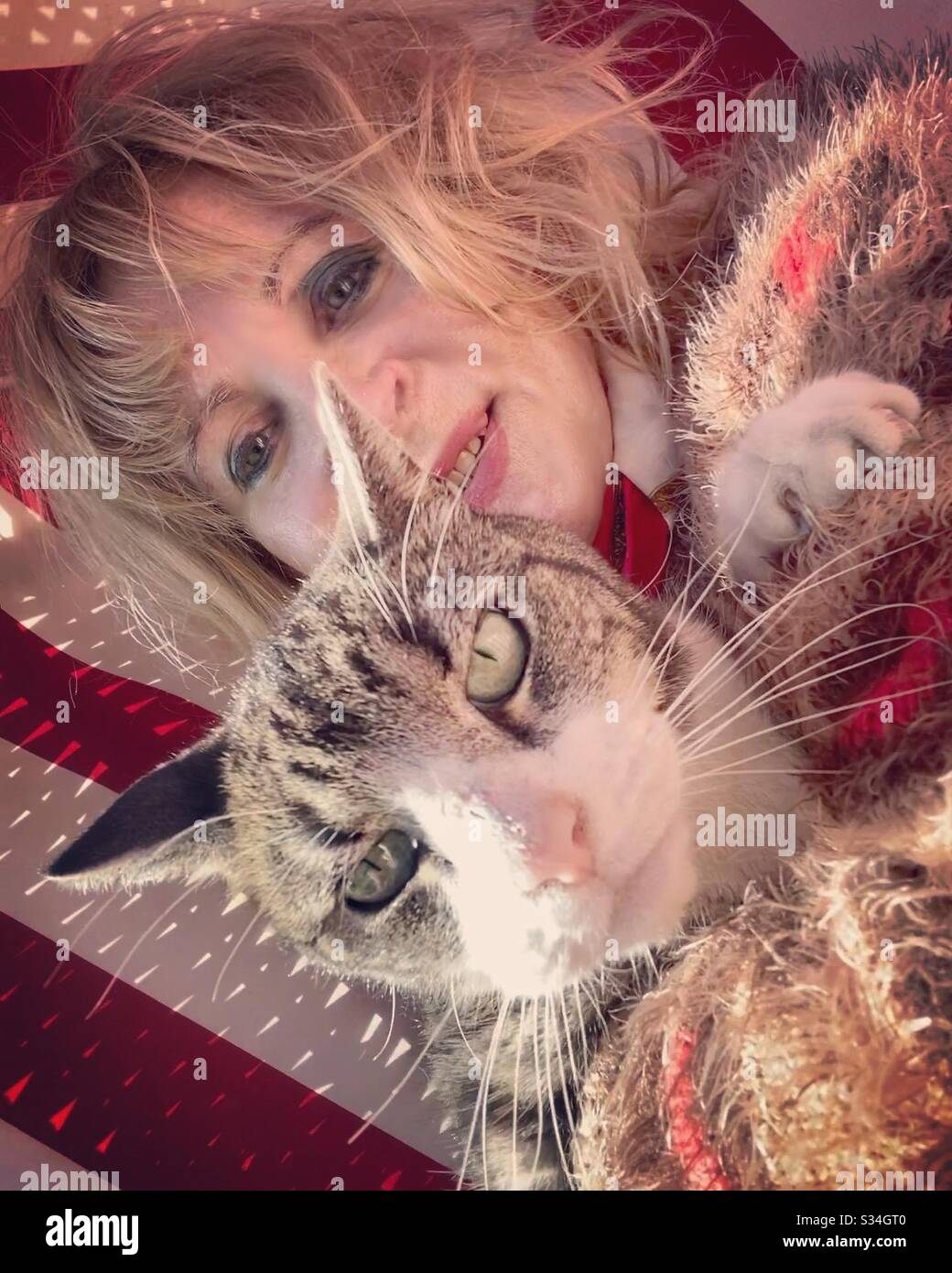 March cat hi-res stock photography and images - Alamy