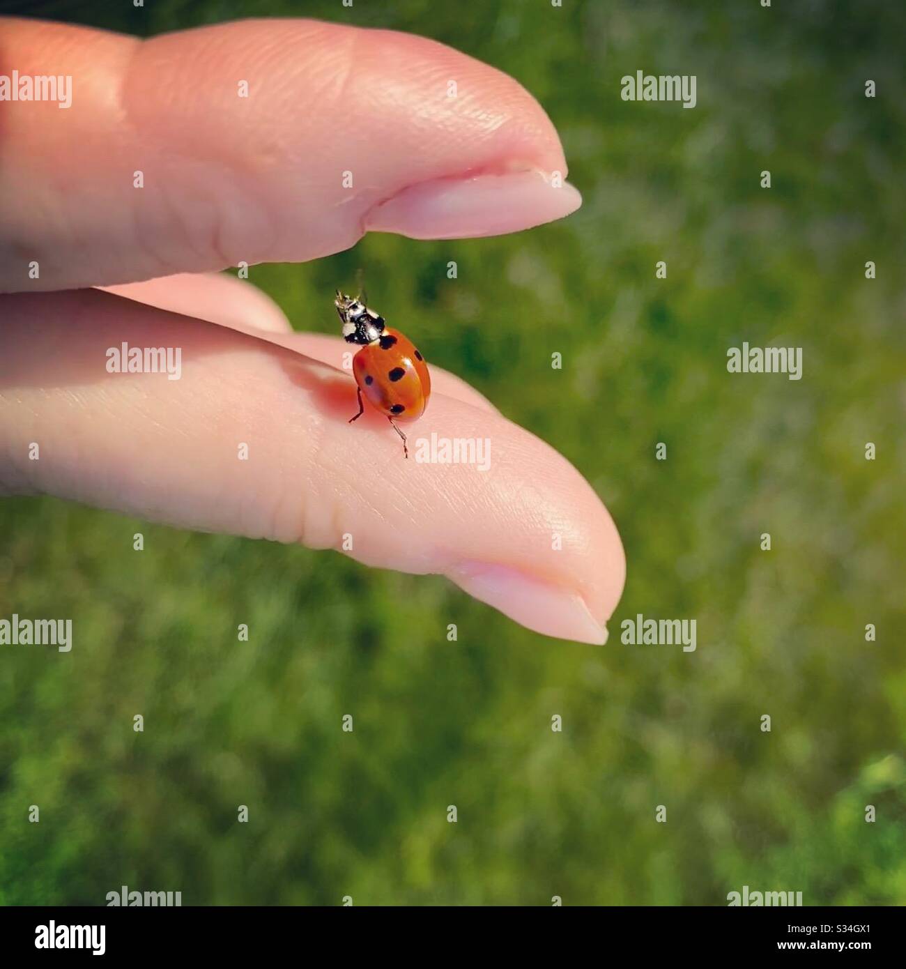 Encounter and surprise Stock Photo - Alamy