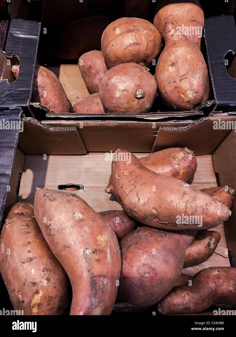 Buy potato hi-res stock photography and images - Alamy