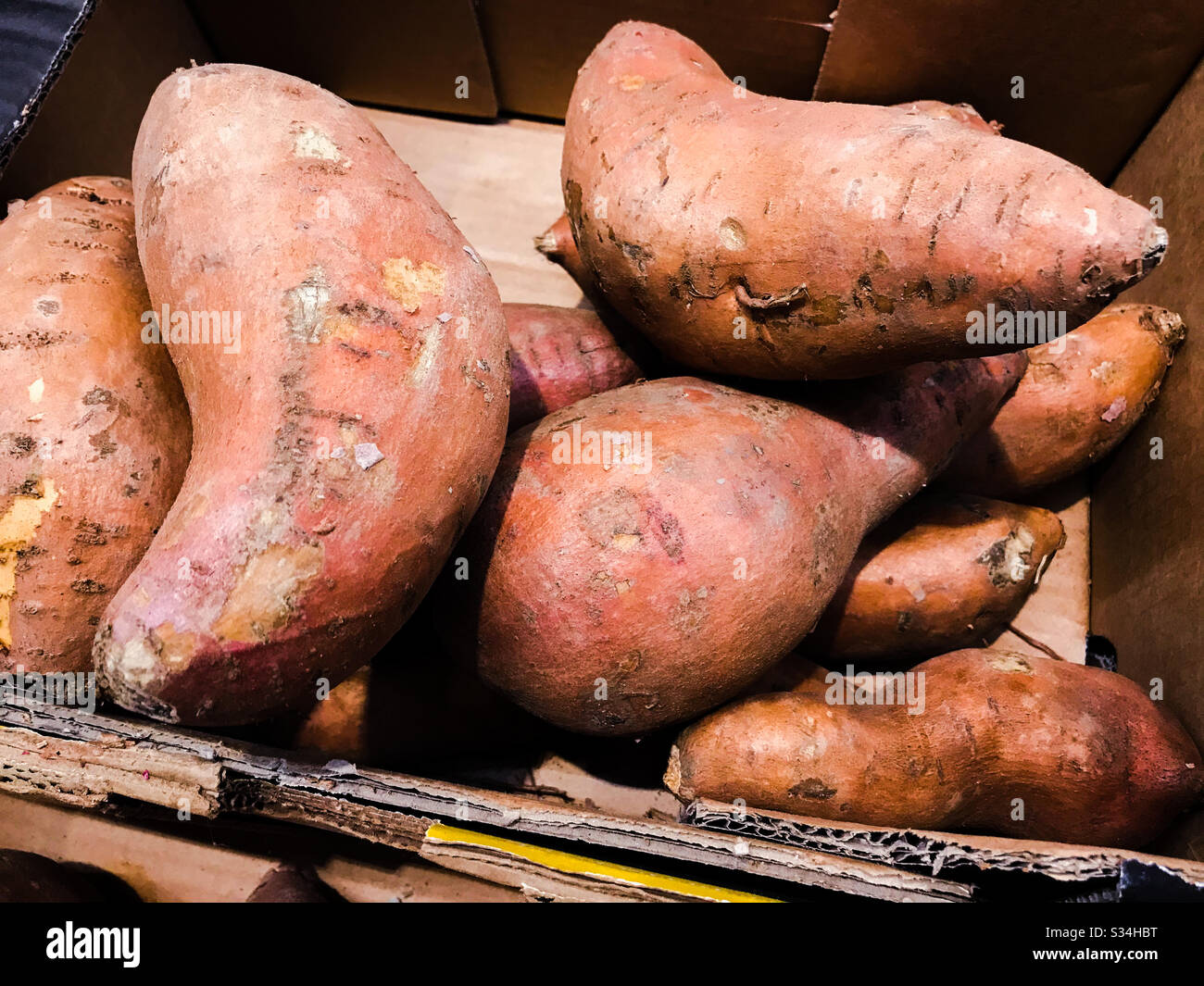 Buy potato hi-res stock photography and images - Alamy