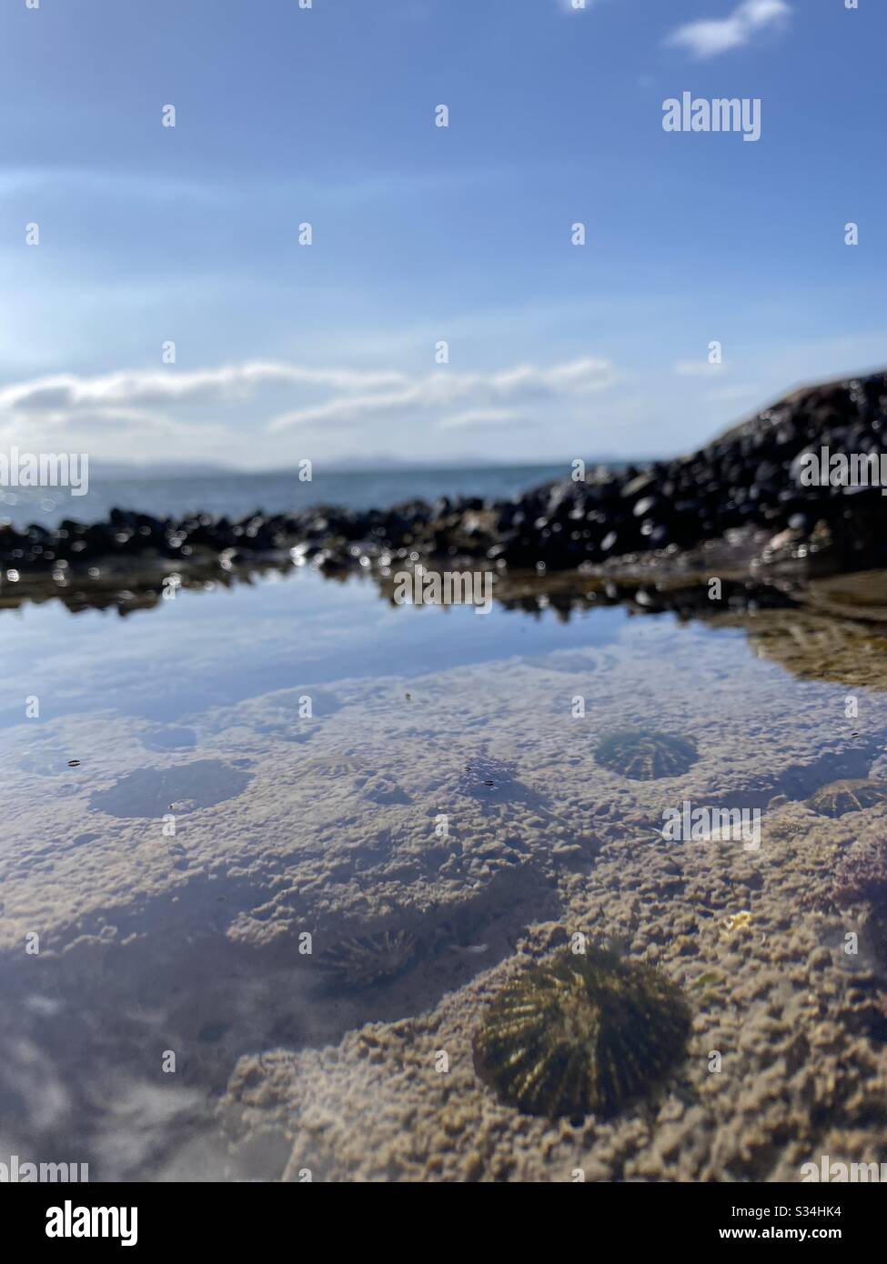 Bawn hi-res stock photography and images - Alamy