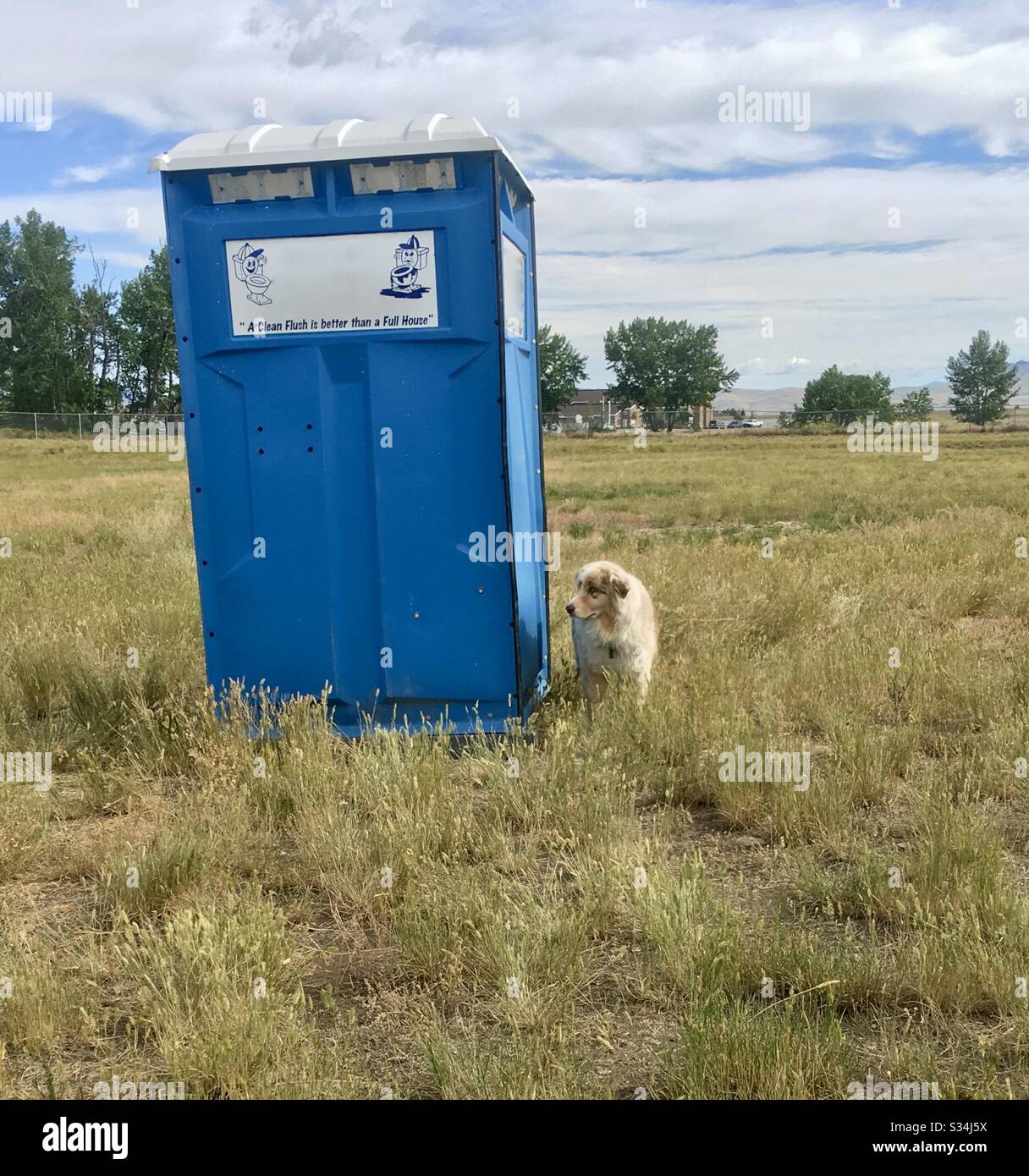 Porta potty hi-res stock photography and images - Alamy