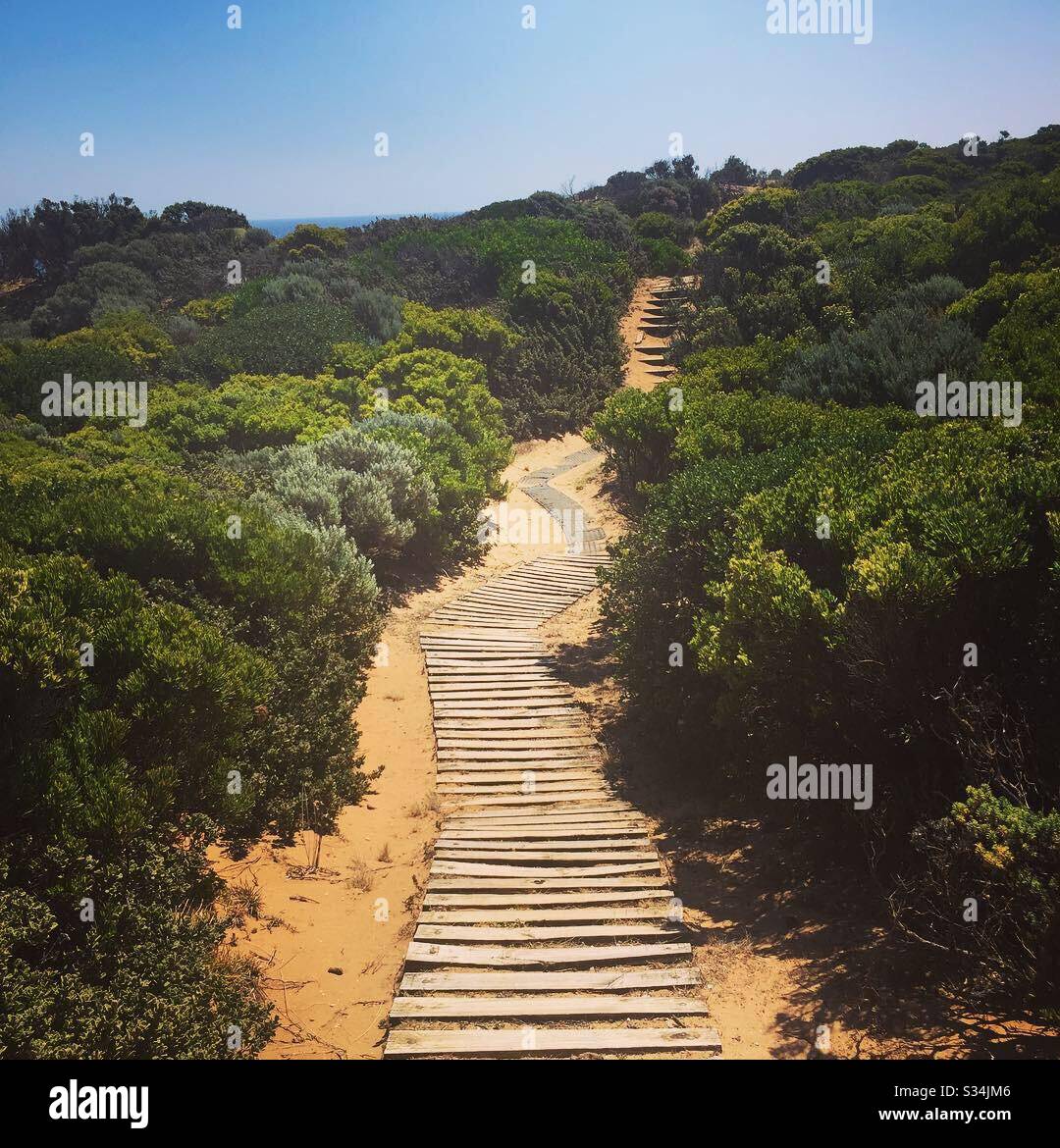 Hiking along the Great Ocean Walk Australia Stock Photo - Alamy