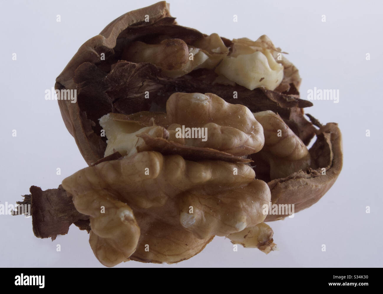 Juglans walnut hi-res stock photography and images - Alamy