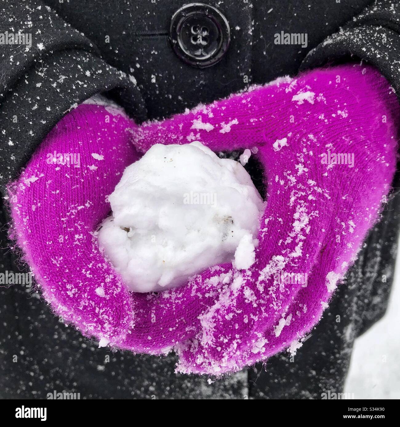Purple snowball hi-res stock photography and images - Alamy