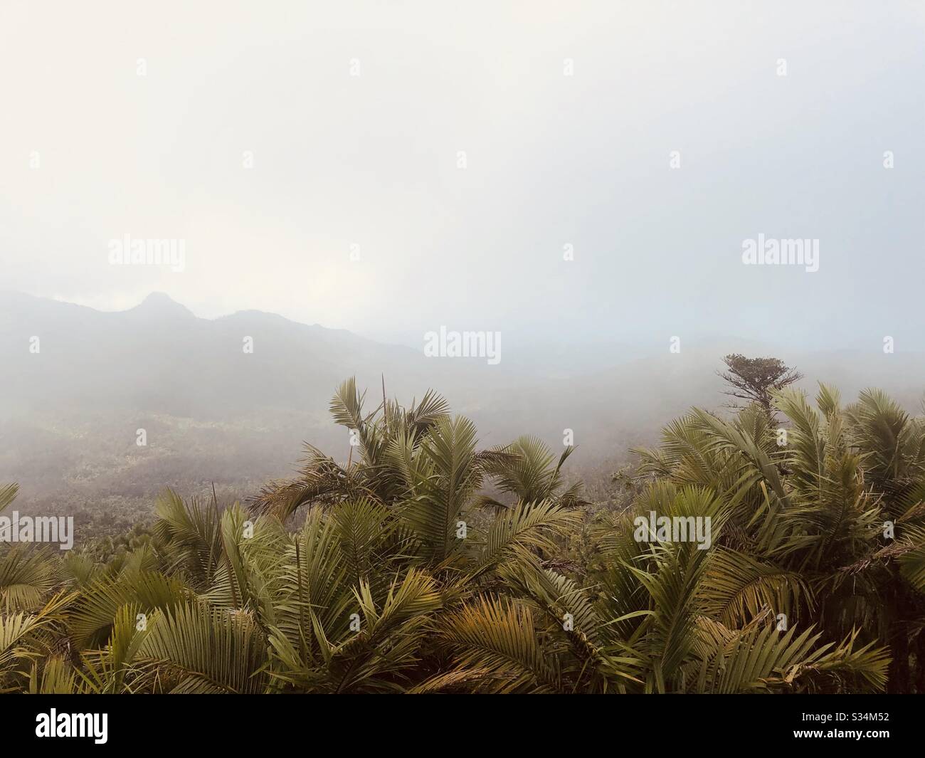 Wet cloudy hi-res stock photography and images - Alamy