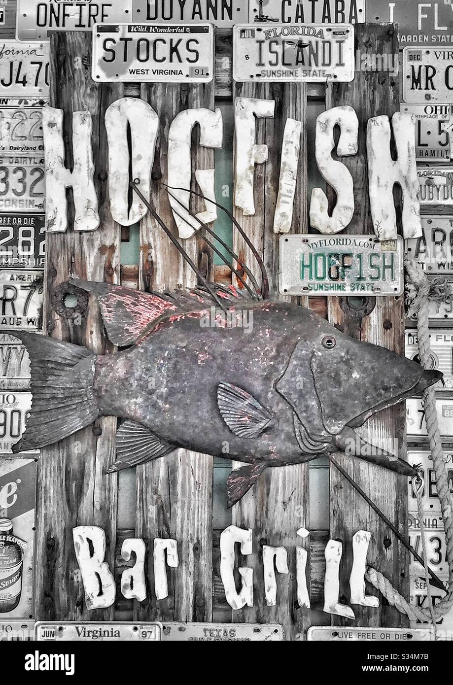 Sea hog hi-res stock photography and images - Alamy