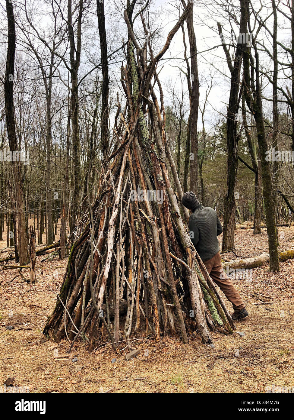 Man building tee pee structure from sticks and logs in backyard Stock ...