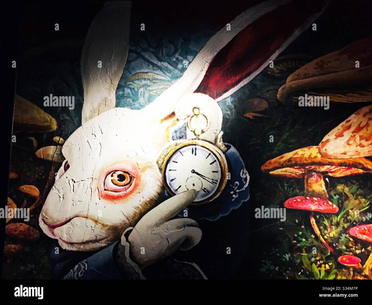 Rabbit in hat hi-res stock photography and images - Alamy