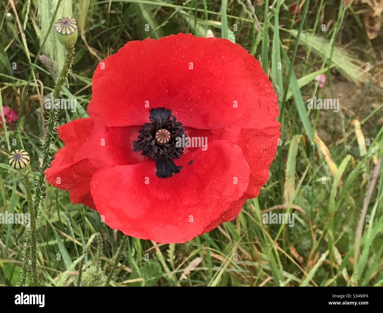 Alum chine hi-res stock photography and images - Alamy