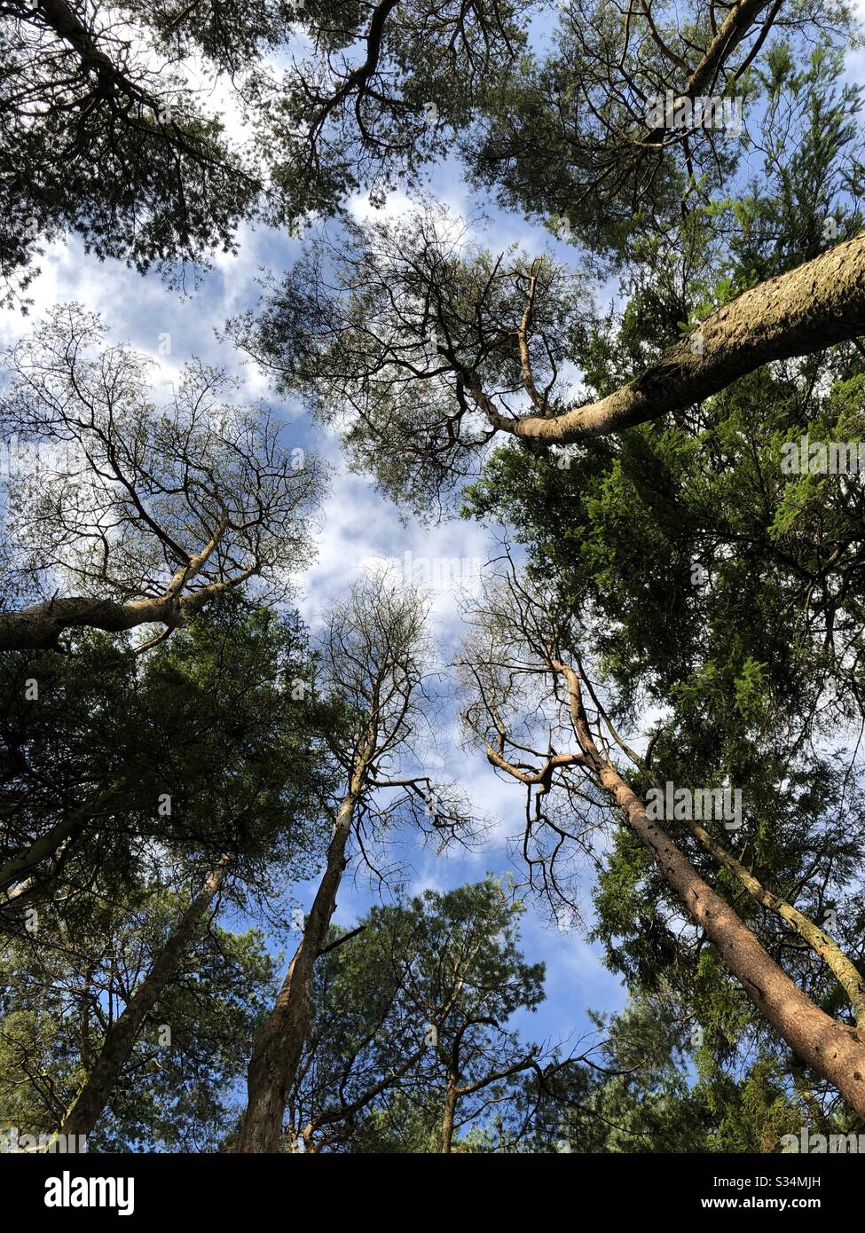 Inspired sky hi-res stock photography and images - Alamy