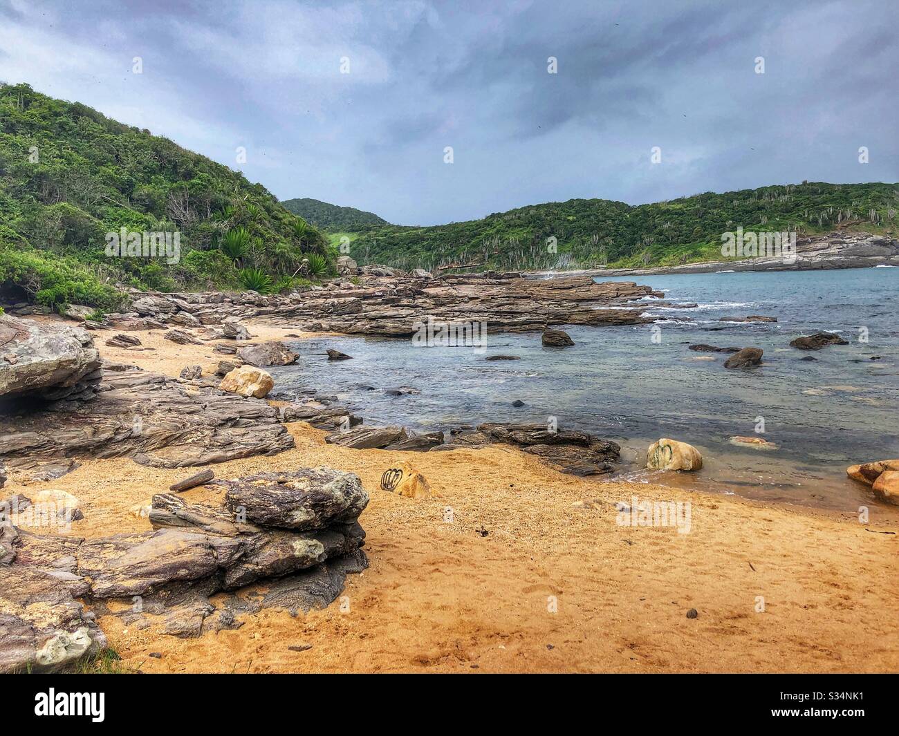 Lush greenery at shoreline hi-res stock photography and images - Alamy