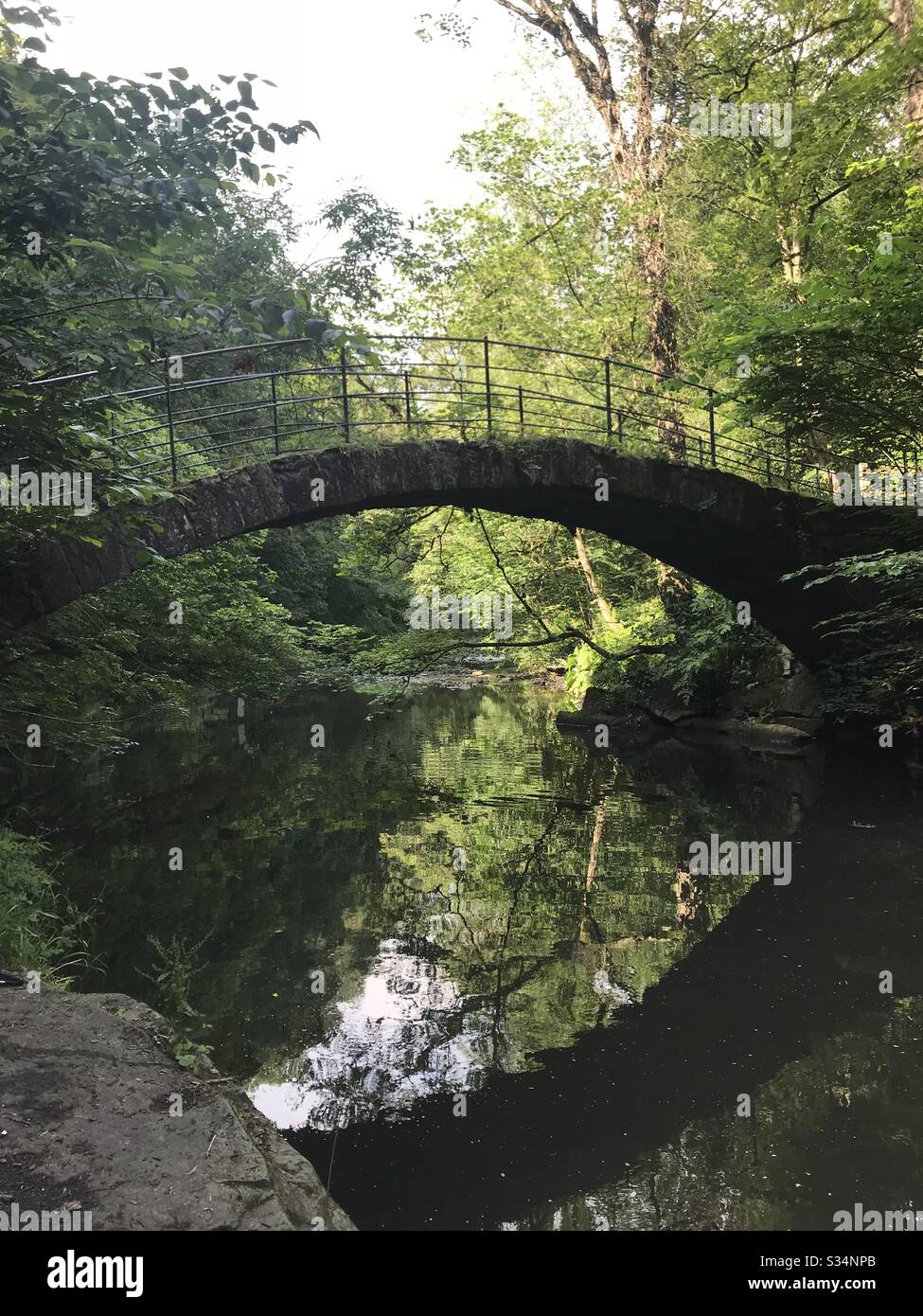 Wildlife bridge hi-res stock photography and images - Alamy