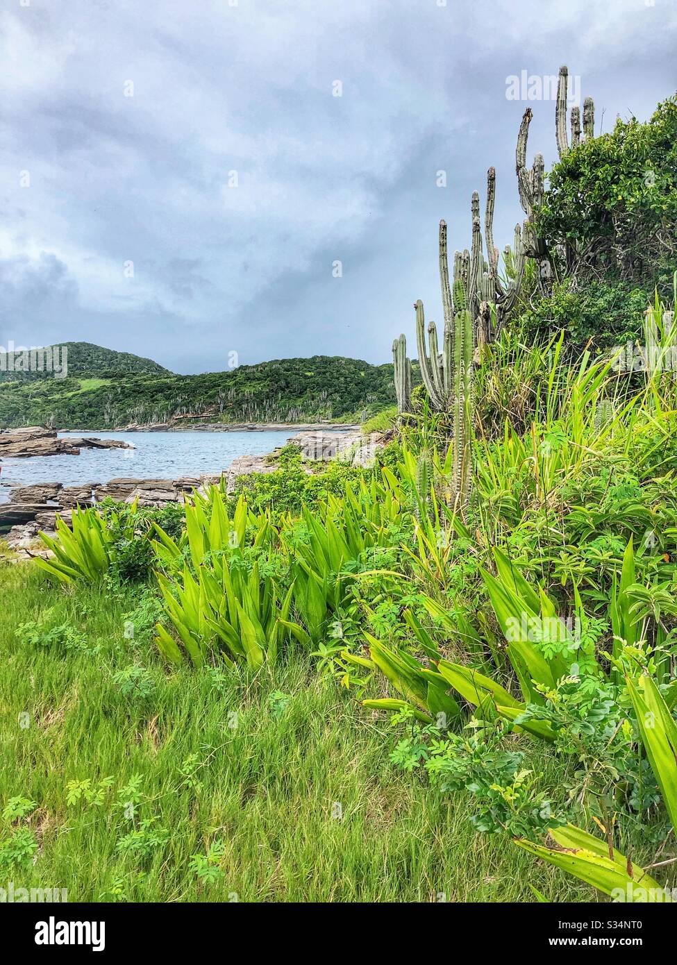 Lush and green landscape hi-res stock photography and images - Alamy