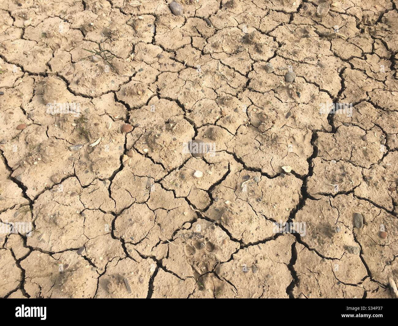 Parched earth hi-res stock photography and images - Alamy