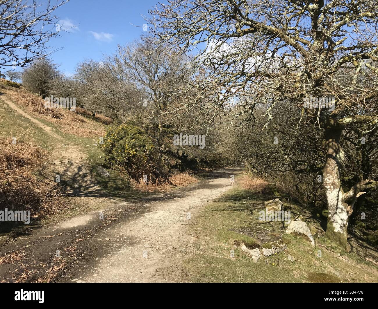 Devon moors hi-res stock photography and images - Alamy