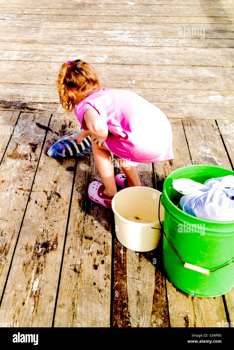 Little girl tentatively touching a fish on the dock hi-res stock ...
