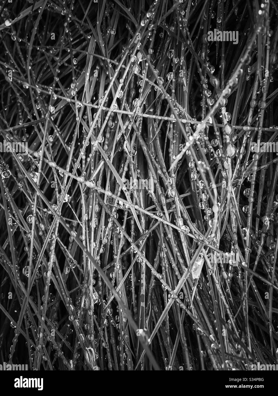 Water texture black and white hi-res stock photography and images - Alamy