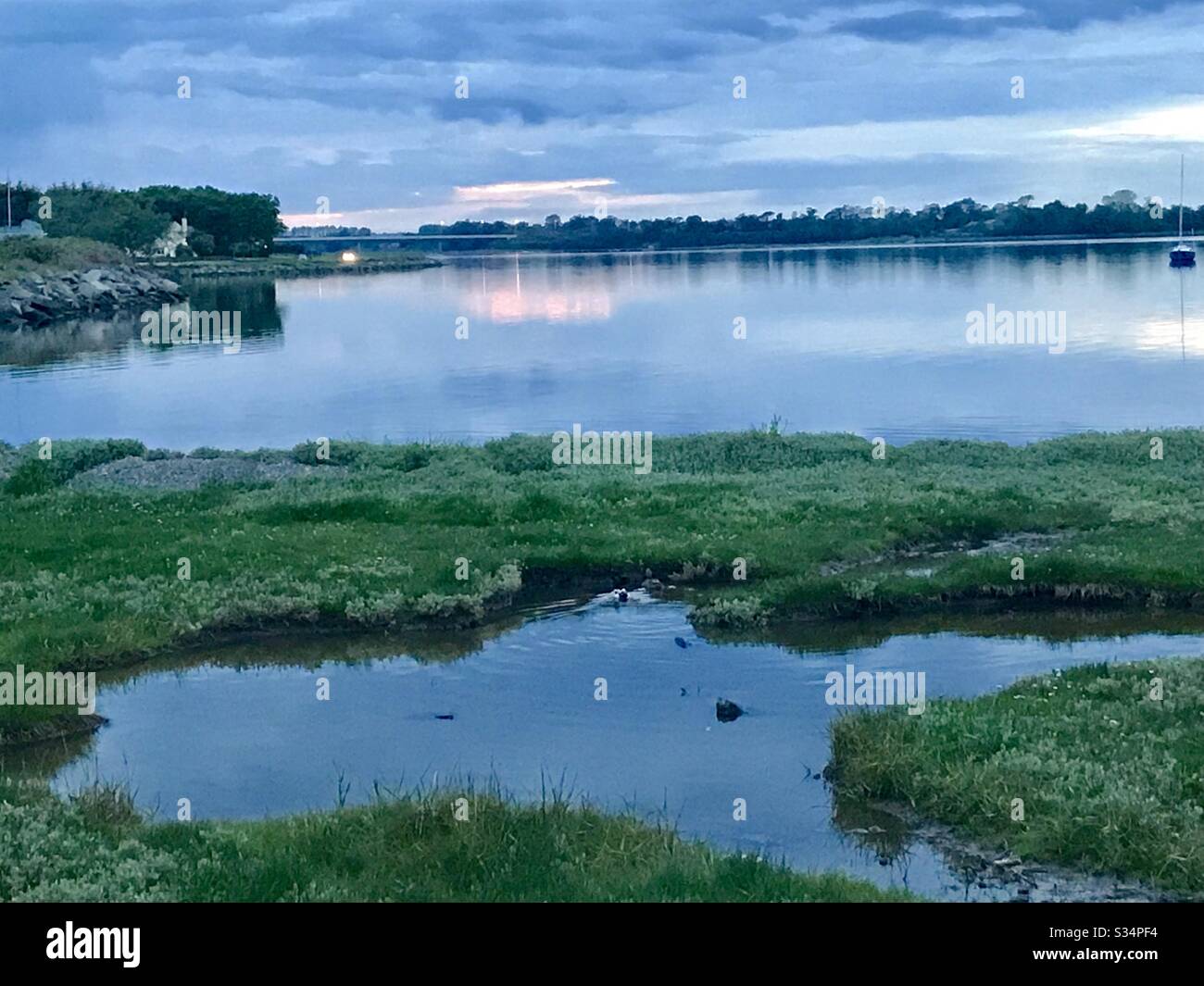 Swamp land hi-res stock photography and images - Alamy