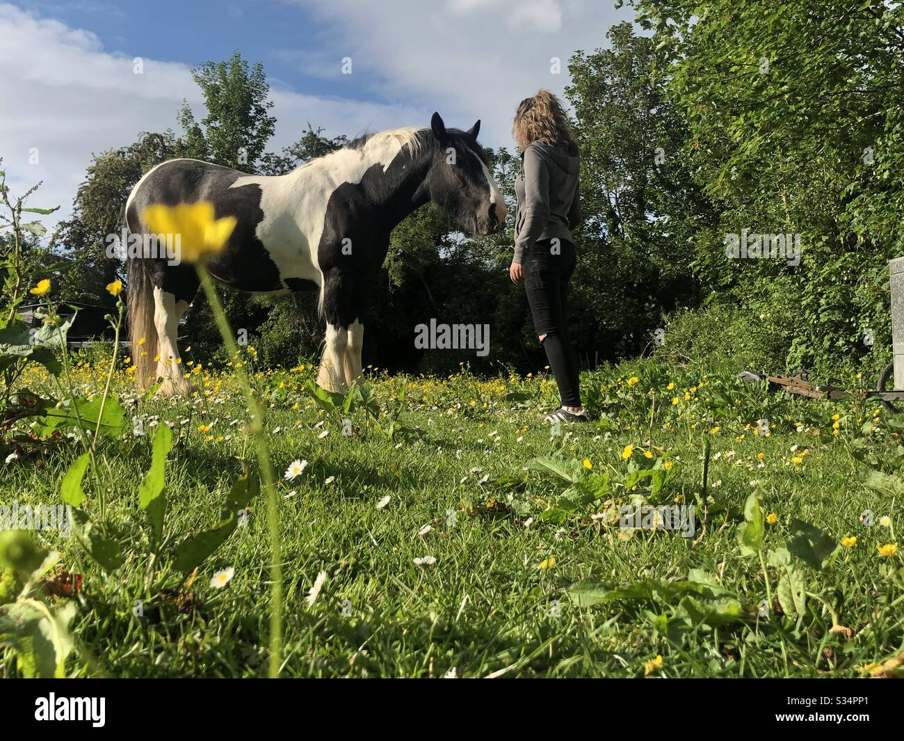 Maggie may hi-res stock photography and images - Alamy