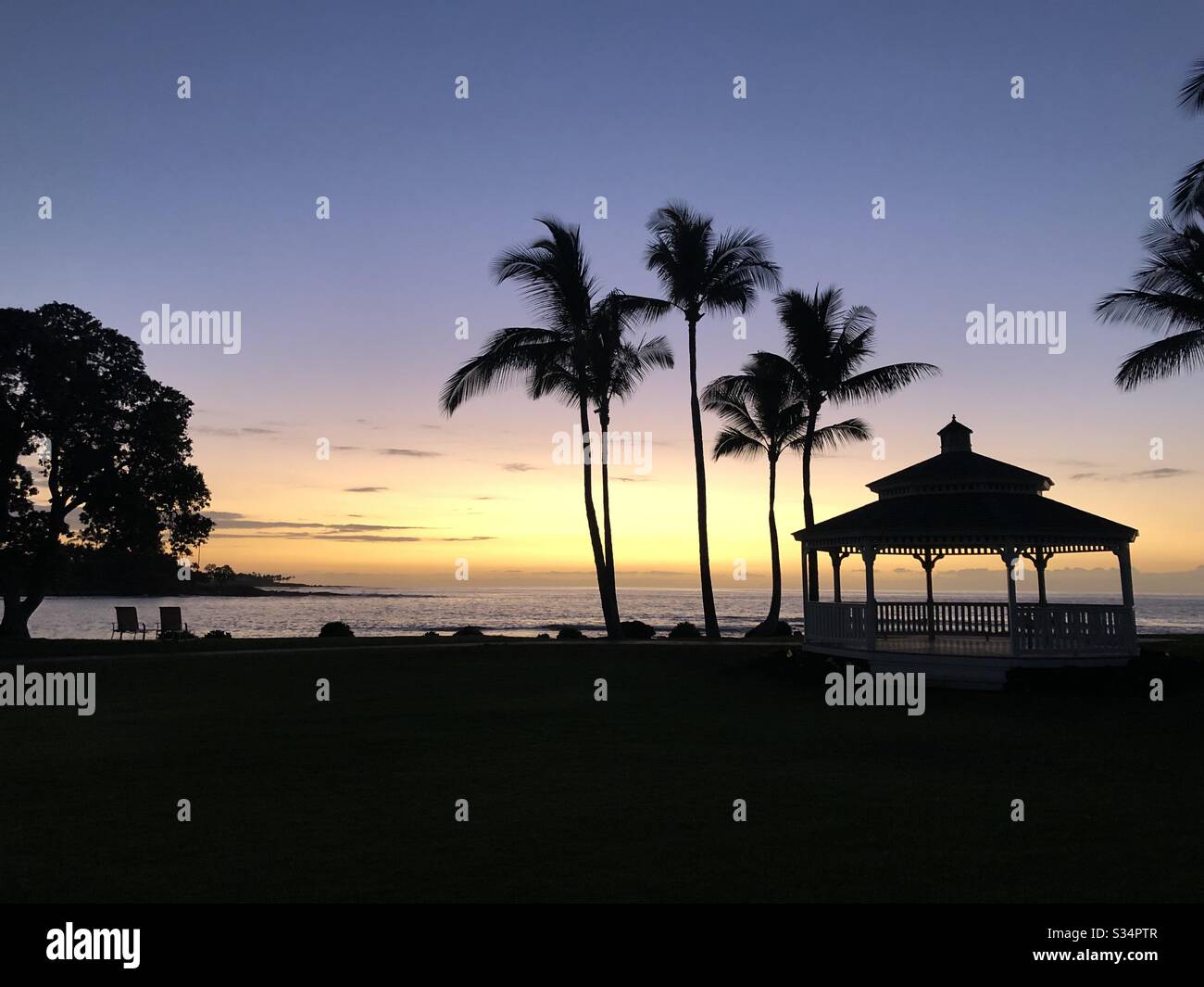 Palm sil hi-res stock photography and images - Alamy