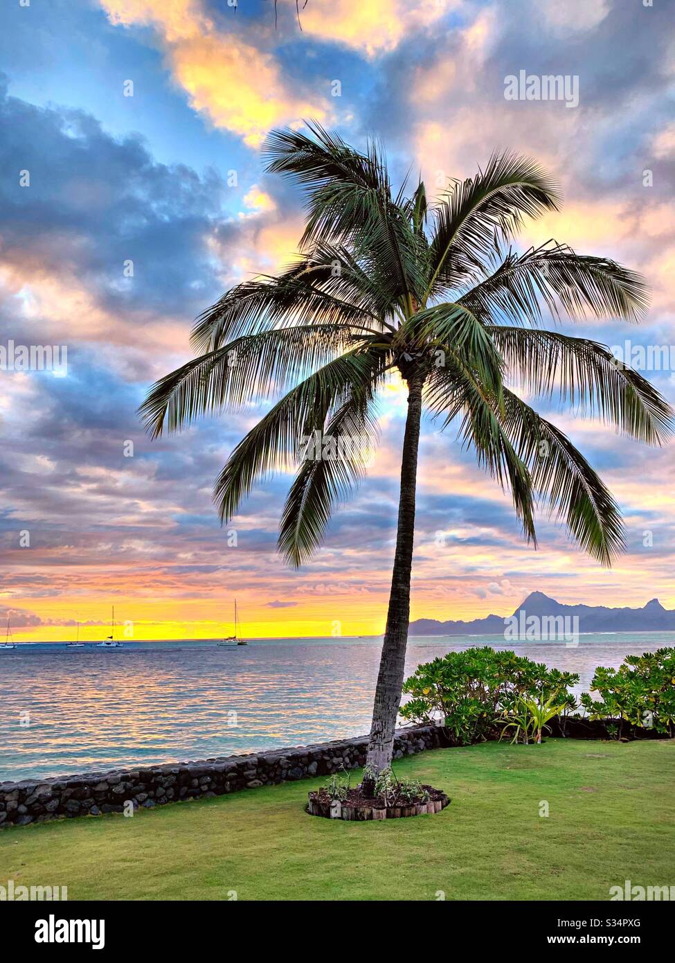 Palm distance hi-res stock photography and images - Alamy