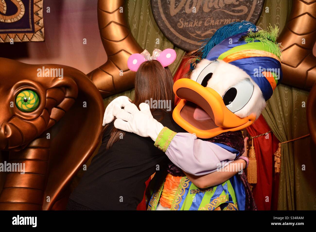 Donald duck disney world hi-res stock photography and images - Alamy